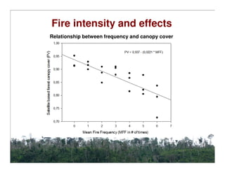 Spatial and temporal determinants of anthropogenic forest fires in the ...