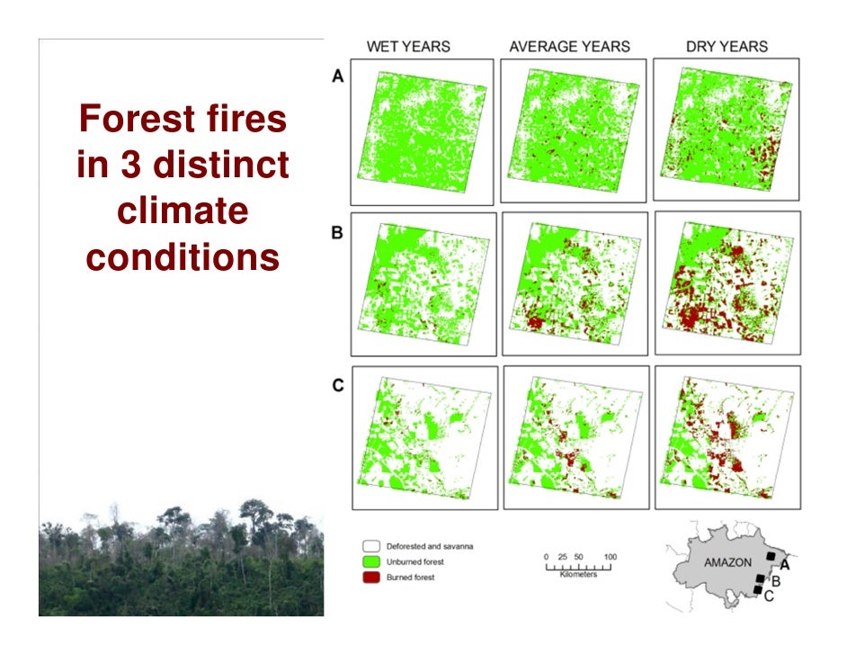 Spatial and temporal determinants of anthropogenic forest fires in th…
