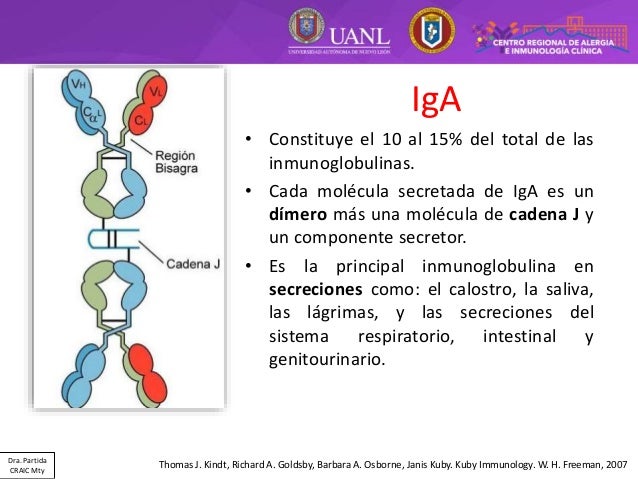 Alergia alimentaria y niveles de IgA