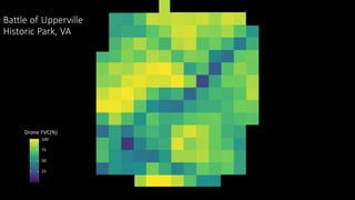 Mapping Near Real-Time Vegetation Extent and Loss | PDF