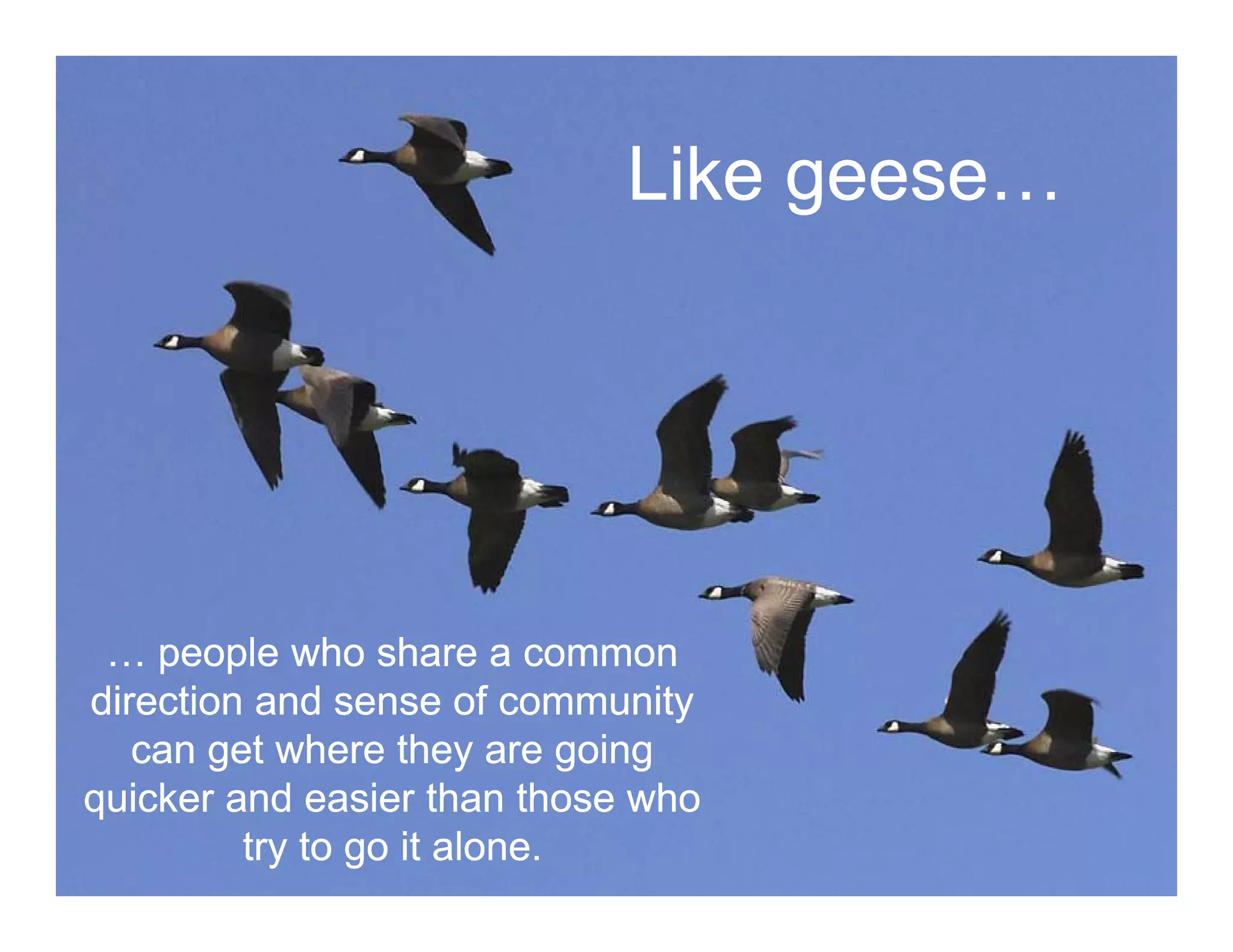 A lesson from_geese | PDF