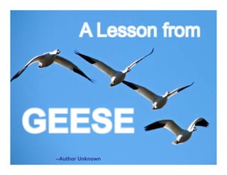 A lesson from_geese | PDF
