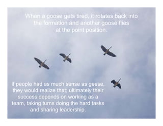 A lesson from_geese | PPT