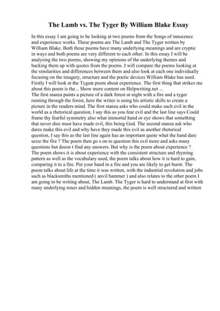 A Lesson Learned Essay.pdf