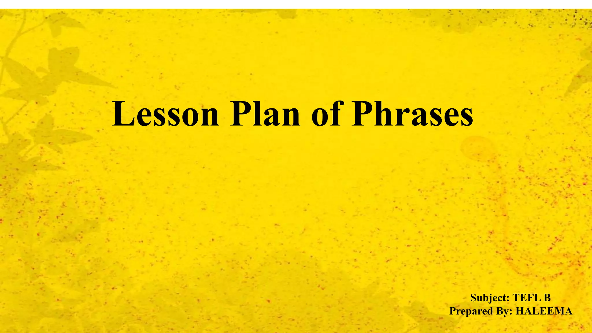 A lesson plan for noun and verb phrase | PPT