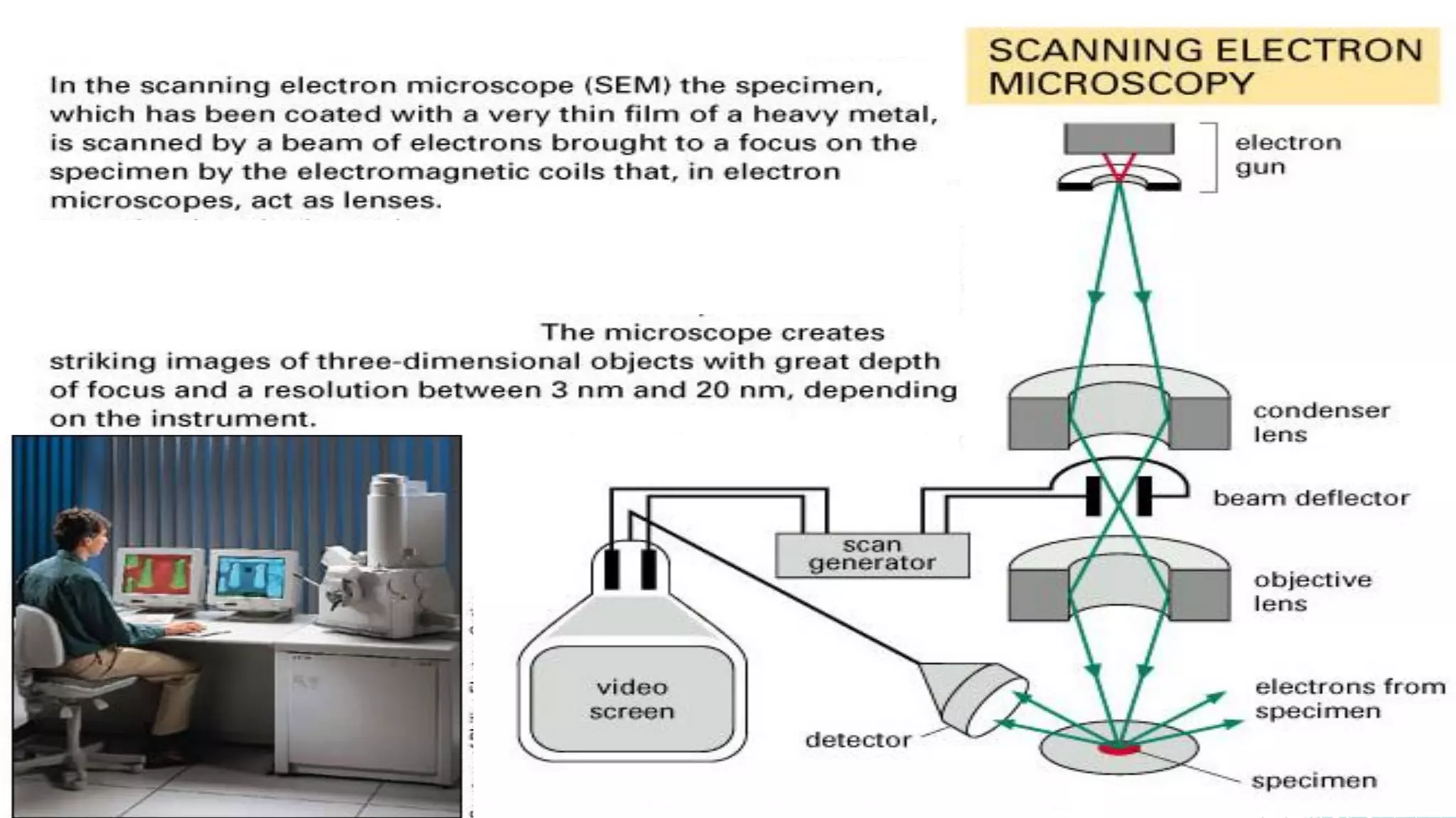 A Level Bio 11 - Microscopes .pdf