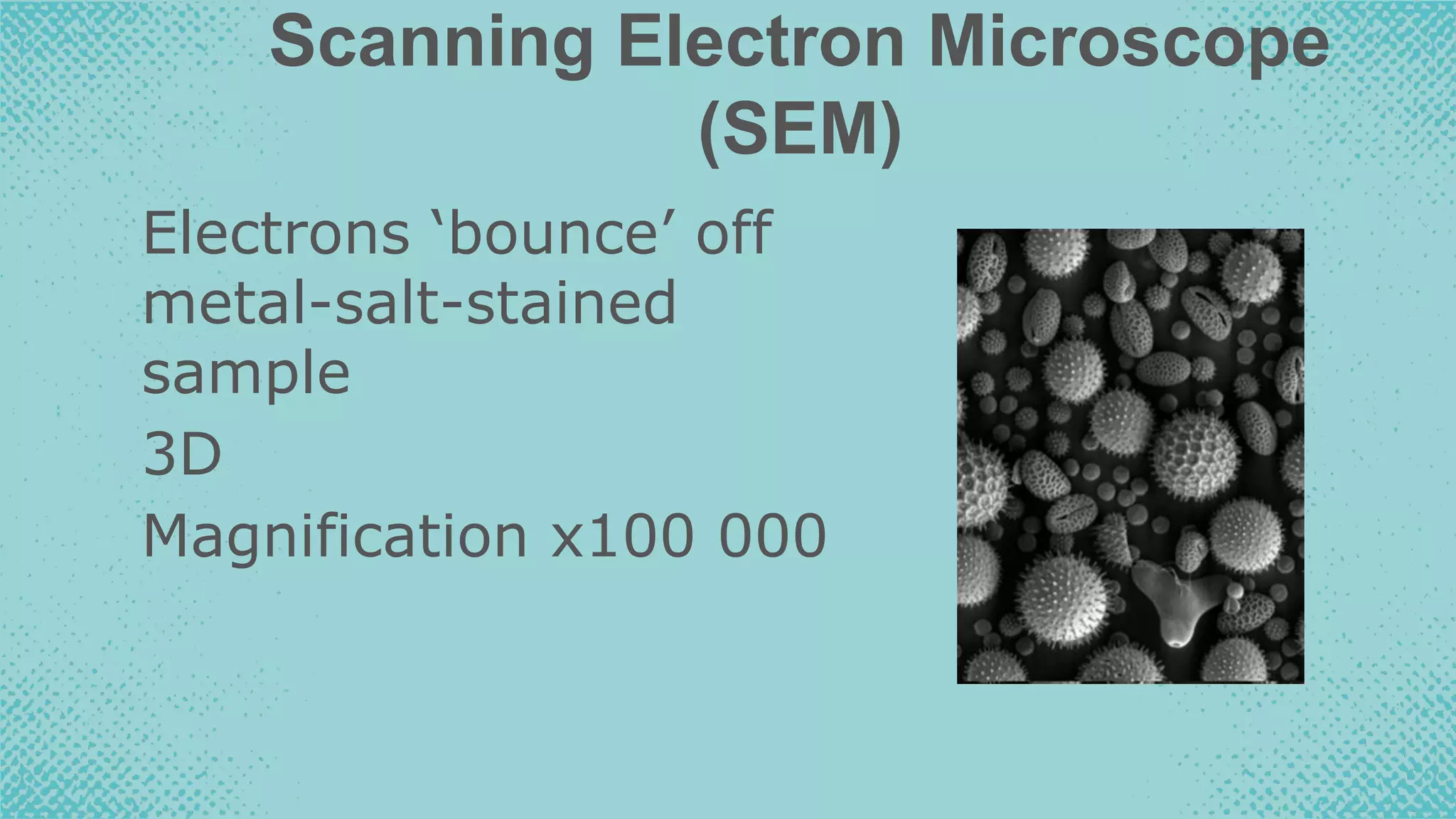 A Level Bio 11 - Microscopes .pdf
