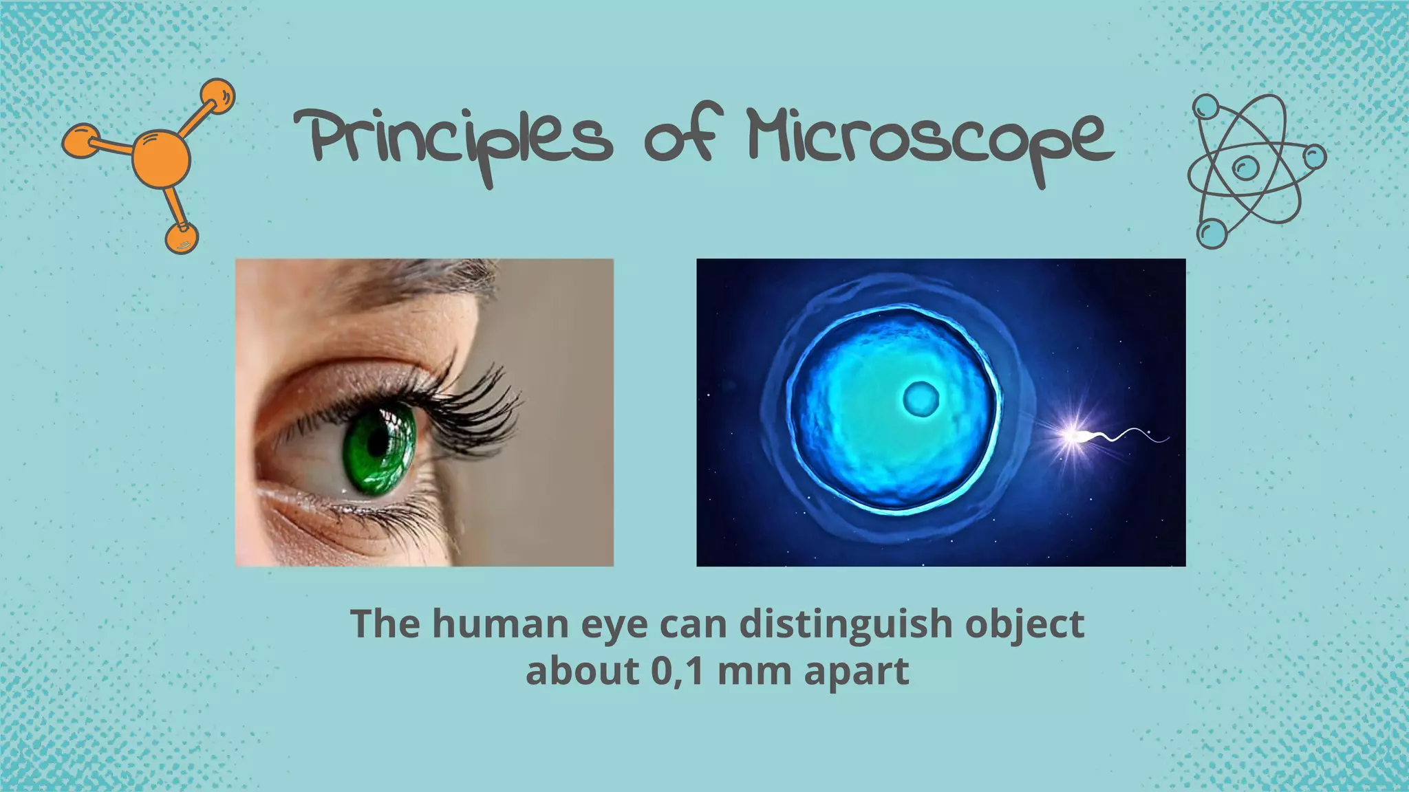 A Level Bio 11 - Microscopes .pdf