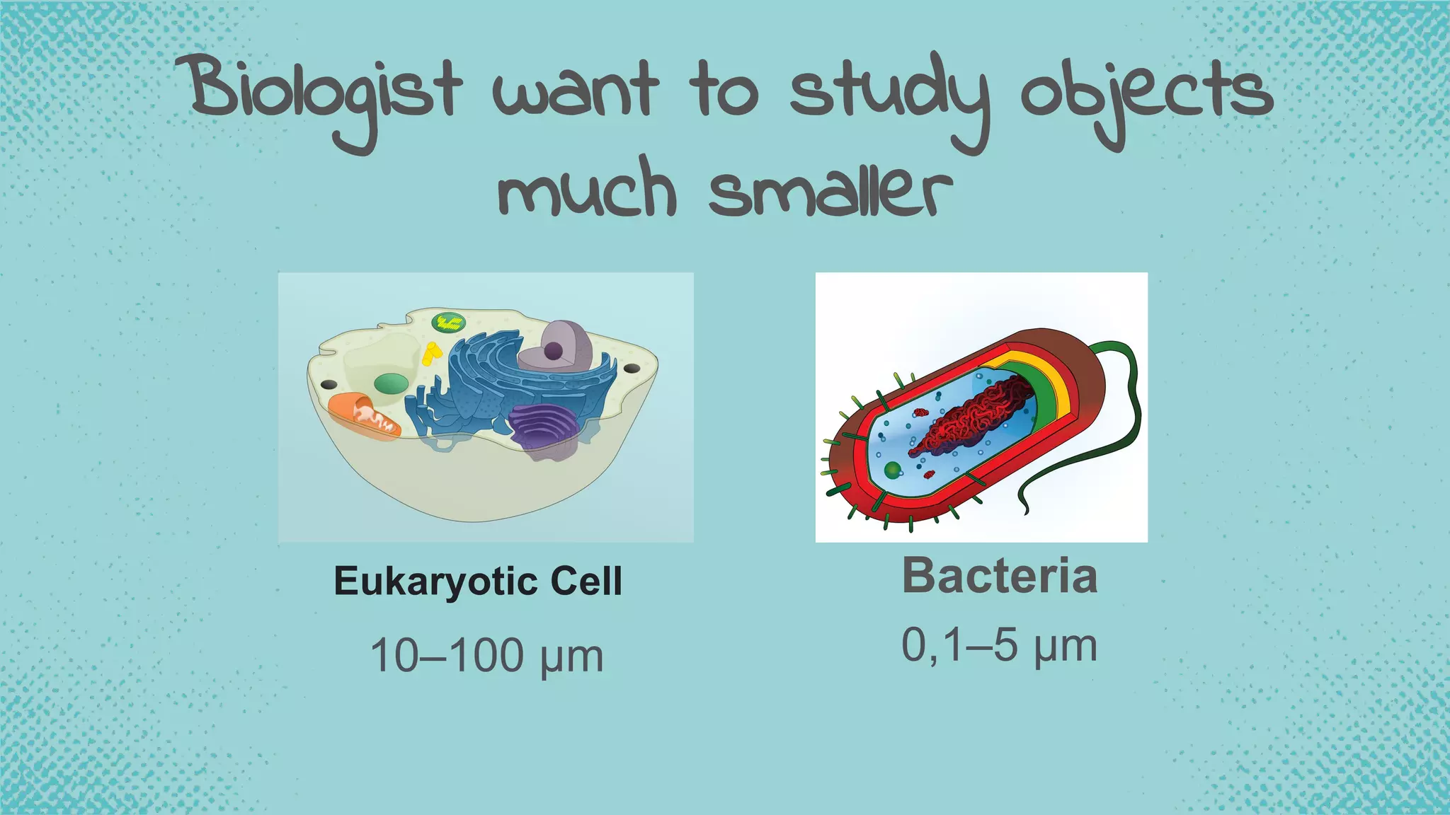 A Level Bio 11 - Microscopes .pdf