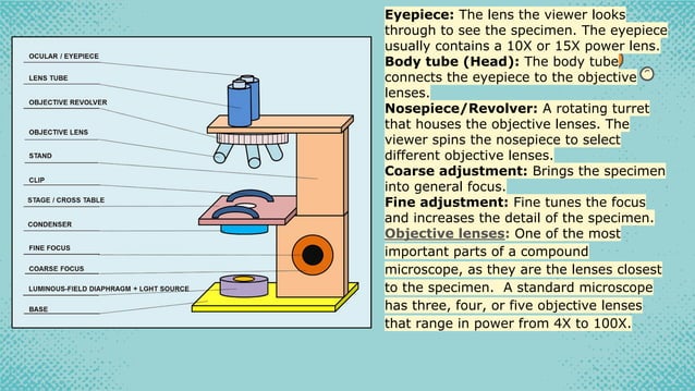 A Level Bio 11 - Microscopes .pdf
