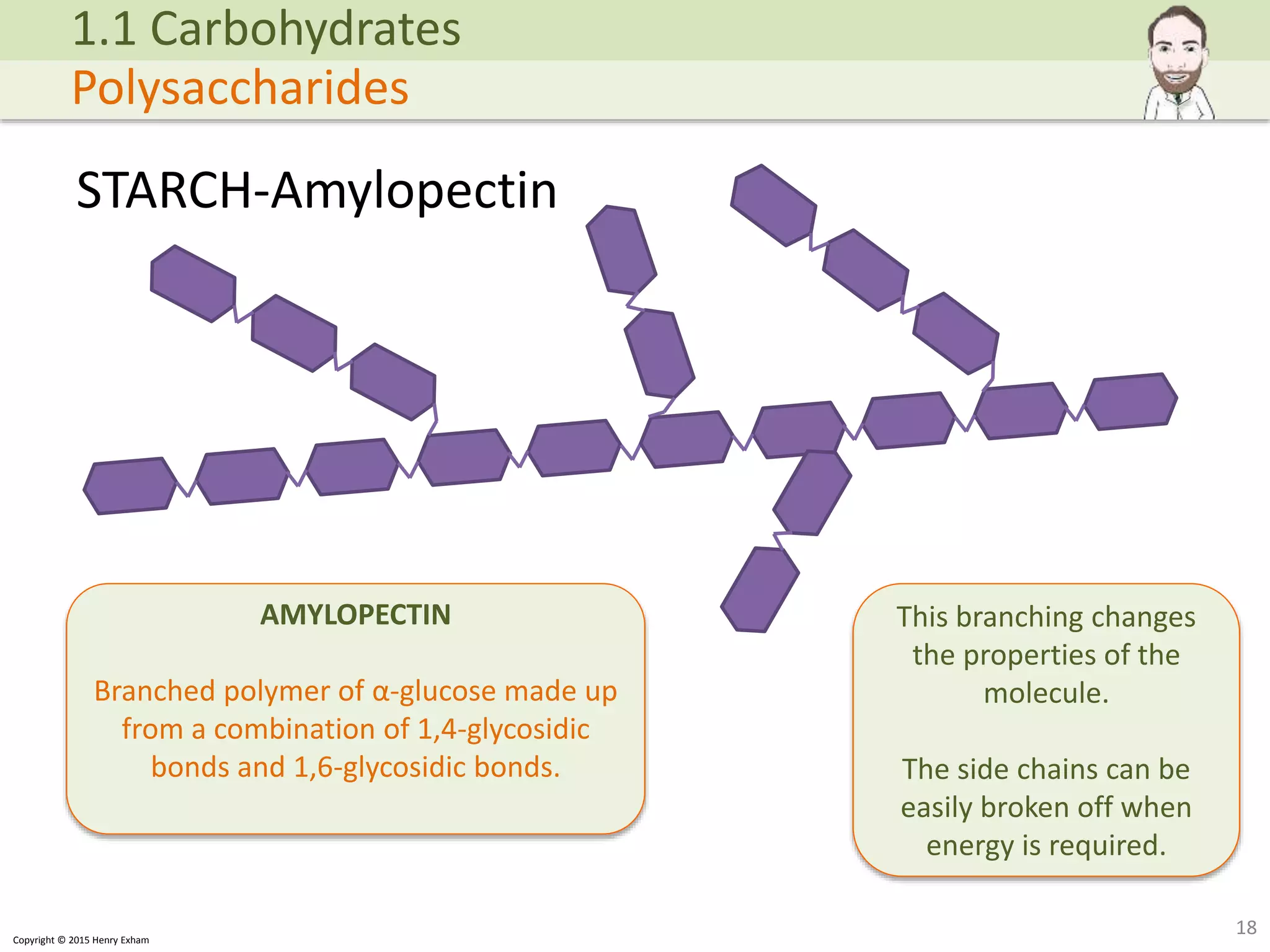 A level Biology - Biological Molecules | PPTX