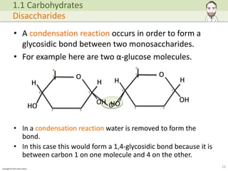 A level Biology - Biological Molecules | PPTX