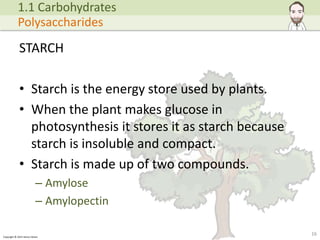 A level Biology - Biological Molecules | PPTX