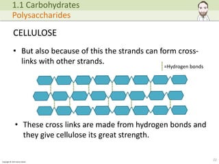 A level Biology - Biological Molecules | PPTX