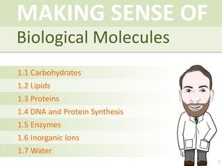 A level Biology - Biological Molecules | PPTX