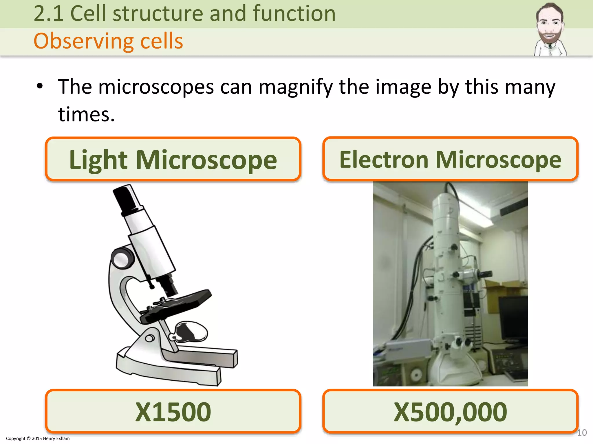 A level Biology - Cells, Viruses and Reproduction of Living Things | PPTX