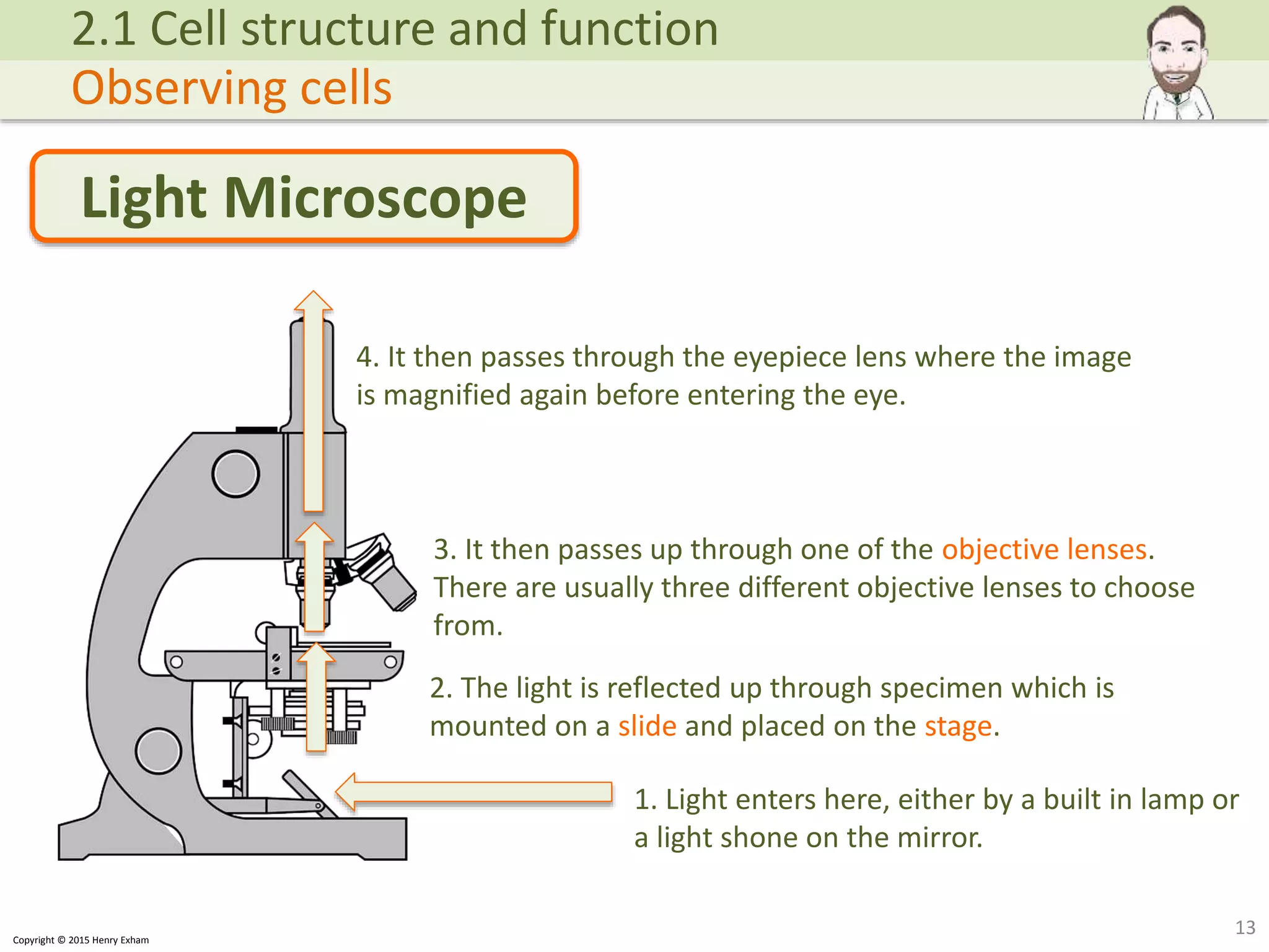 A level Biology - Cells, Viruses and Reproduction of Living Things | PPTX