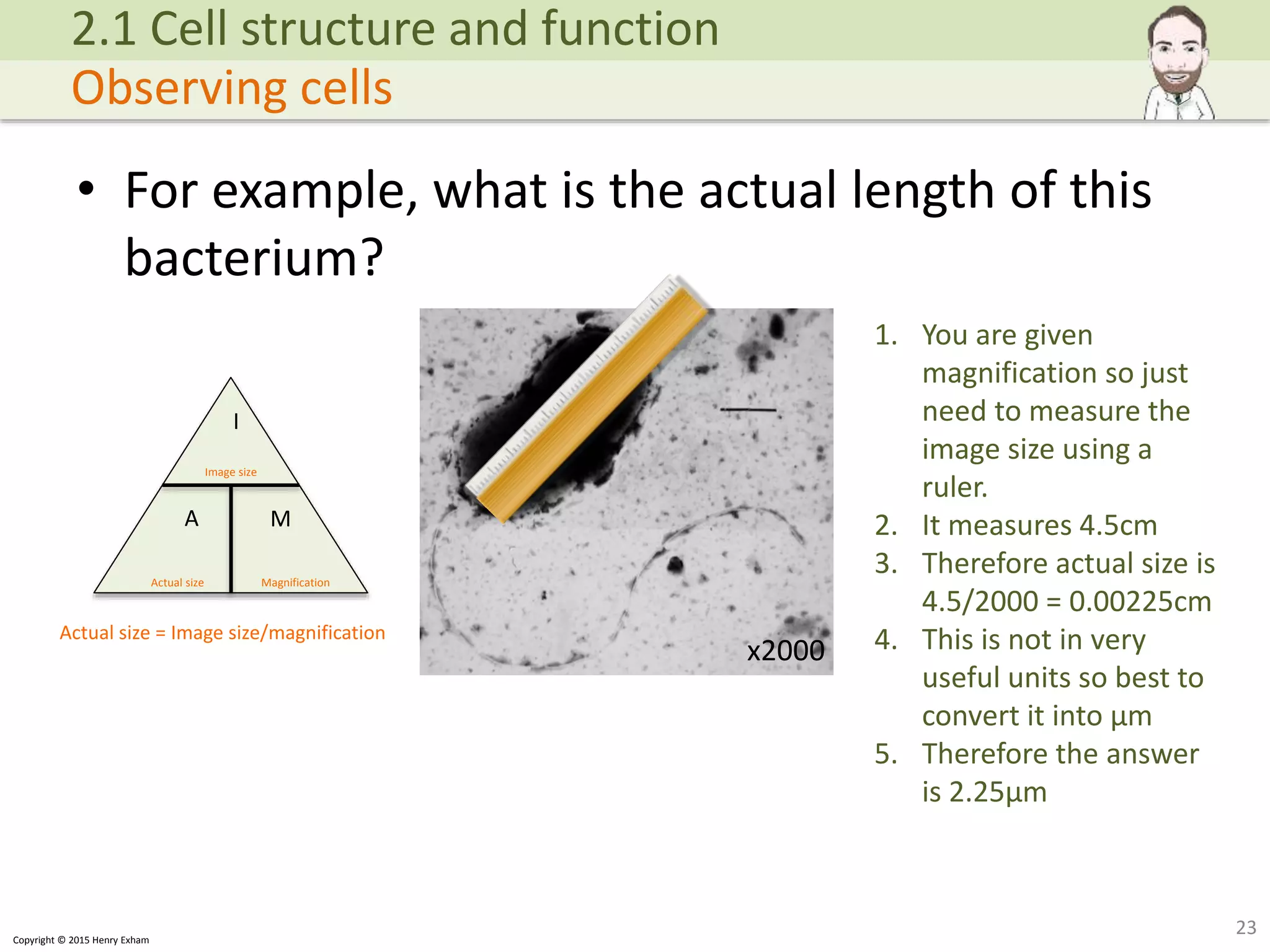 A level Biology - Cells, Viruses and Reproduction of Living Things | PPTX