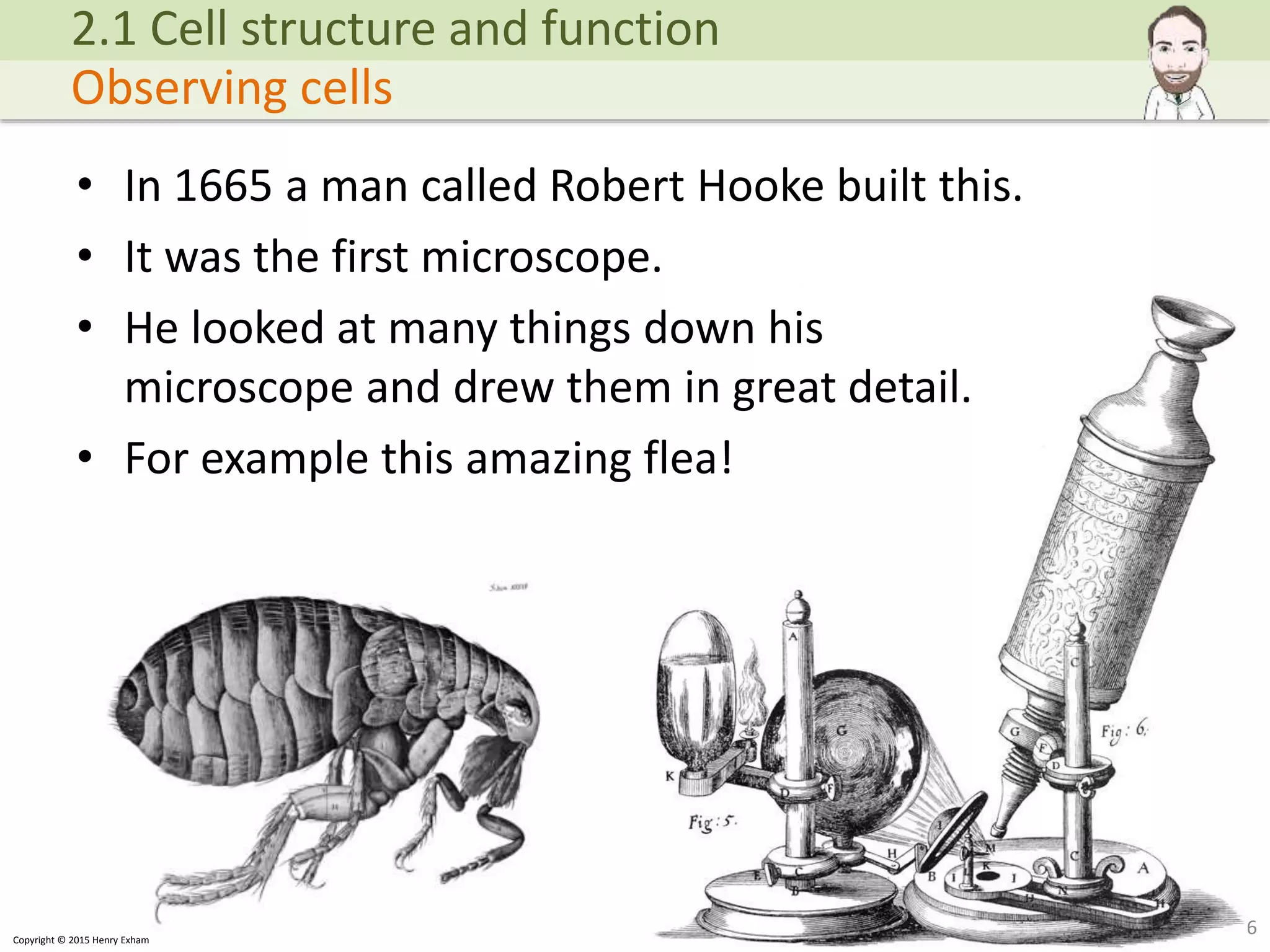 A level Biology - Cells, Viruses and Reproduction of Living Things | PPTX