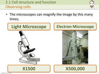 A level Biology - Cells, Viruses and Reproduction of Living Things | PPTX