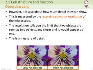 A level Biology - Cells, Viruses and Reproduction of Living Things | PPTX