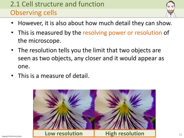 A level Biology - Cells, Viruses and Reproduction of Living Things ...