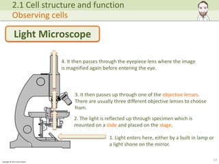 A level Biology - Cells, Viruses and Reproduction of Living Things | PPTX