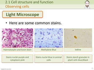 A level Biology - Cells, Viruses and Reproduction of Living Things | PPTX