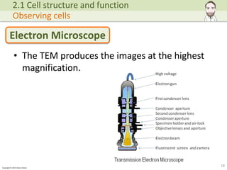 A level Biology - Cells, Viruses and Reproduction of Living Things | PPTX