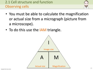 A level Biology - Cells, Viruses and Reproduction of Living Things | PPTX