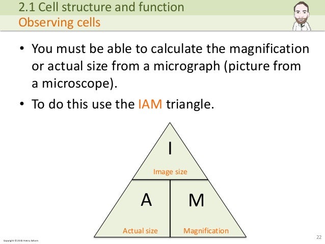 A level Biology - Cells, Viruses and Reproduction of Living Things