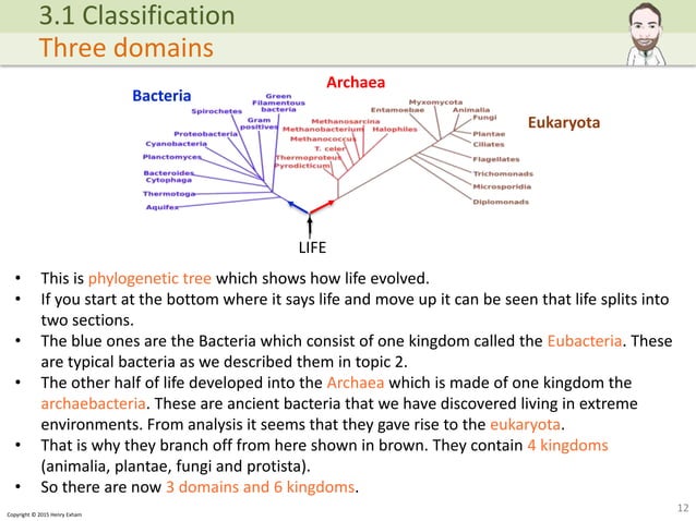 A Level Biology - Classification and Biodiversity | PPTX