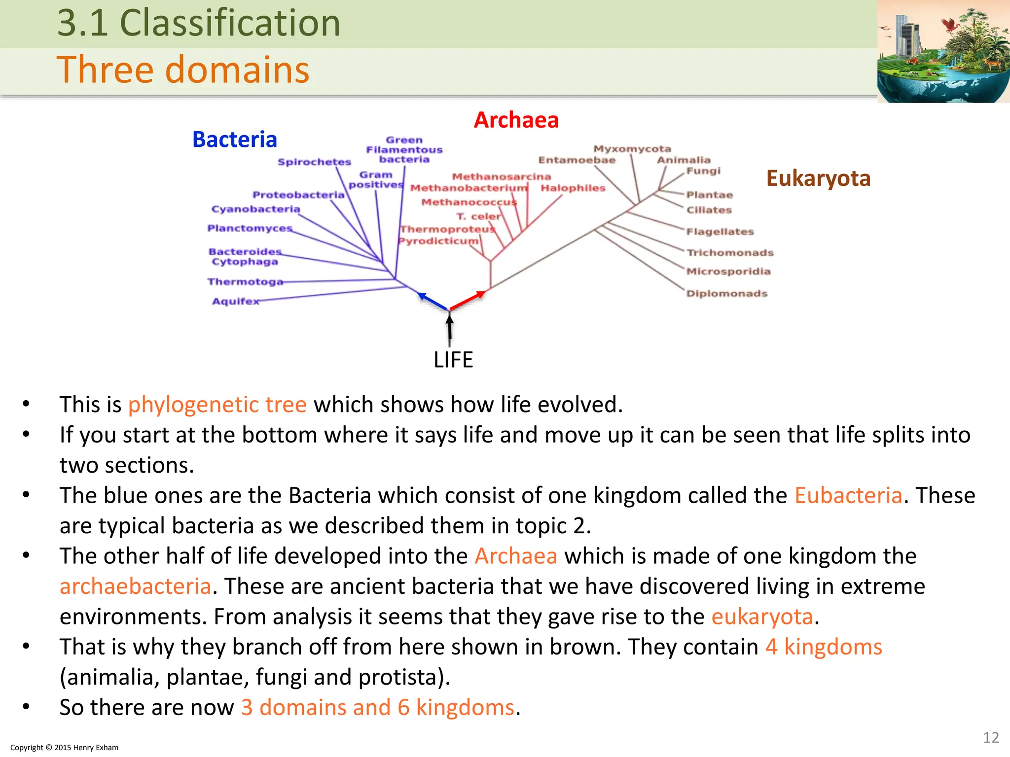 alevelbiology-3classificationandbiodiversitysample-150828165741-lva1-app6892 (1).pptx