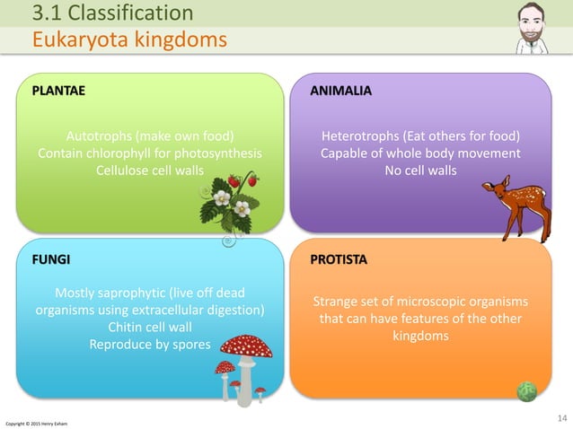alevelbiology-3classificationandbiodiversitysample-150828165741-lva1 ...
