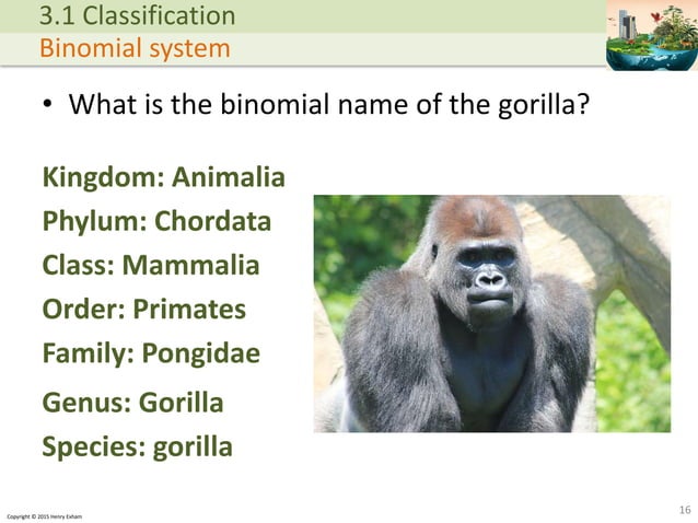 alevelbiology-3classificationandbiodiversitysample-150828165741-lva1 ...