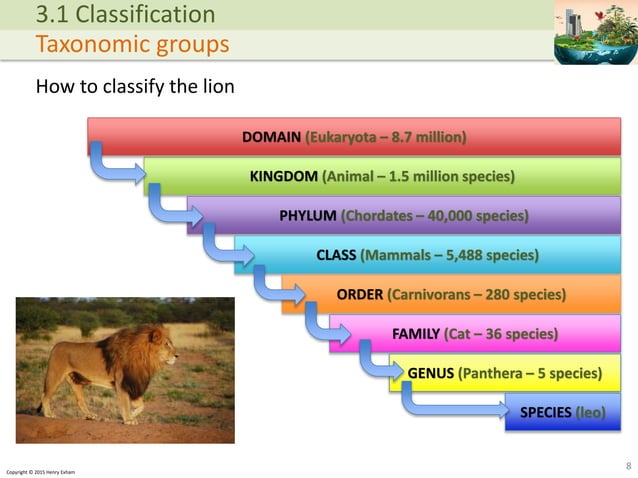alevelbiology-3classificationandbiodiversitysample-150828165741-lva1 ...