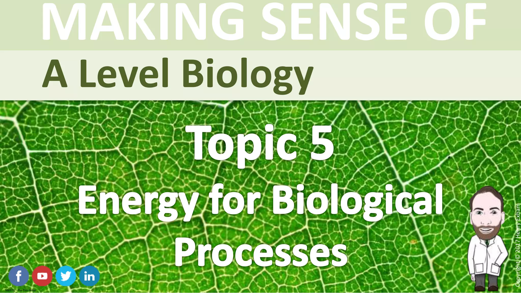 A Level Biology - Energy for Biological Processes | PPTX