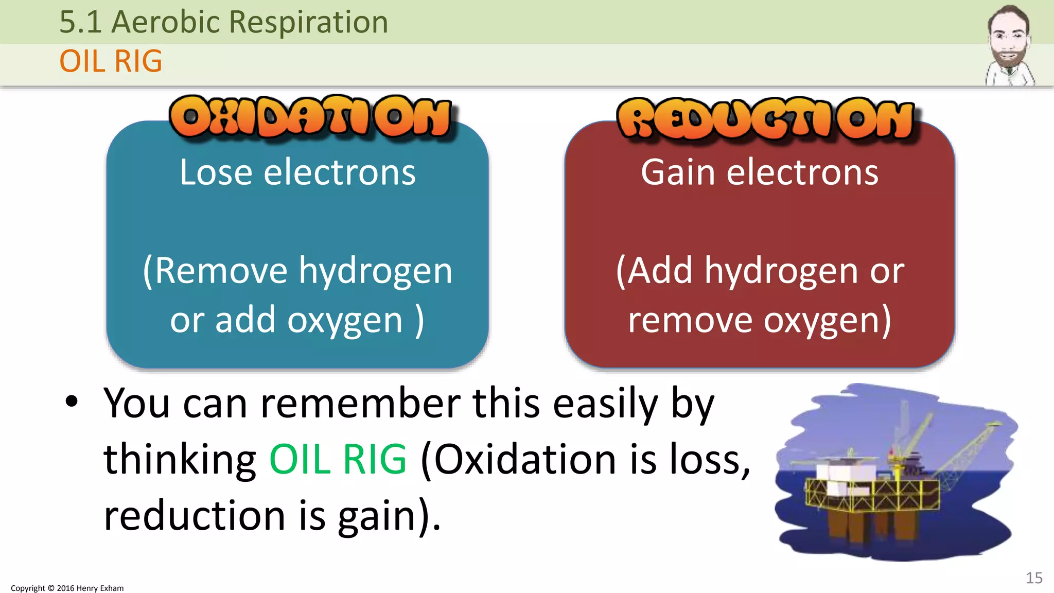 A Level Biology - Energy for Biological Processes | PPTX
