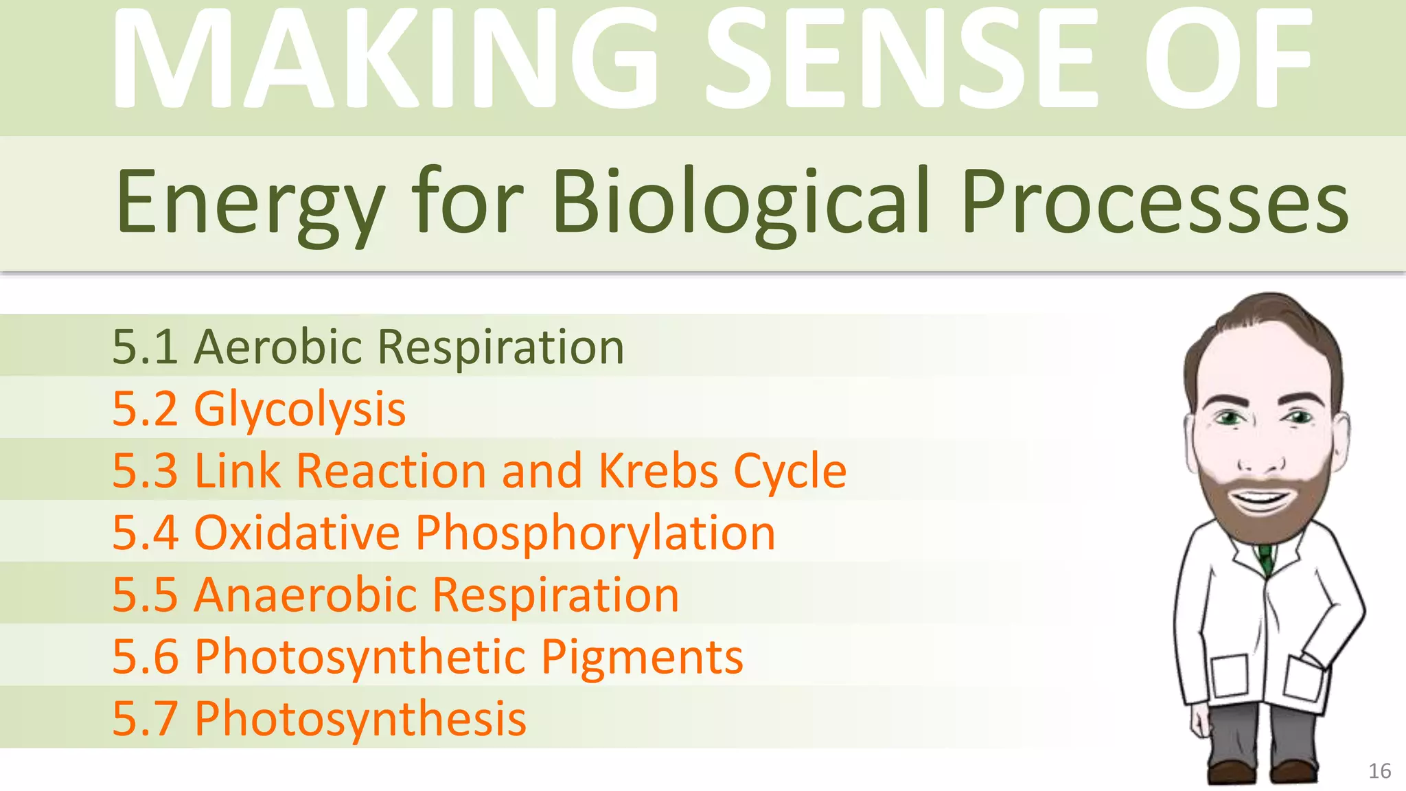 A Level Biology - Energy for Biological Processes | PPTX