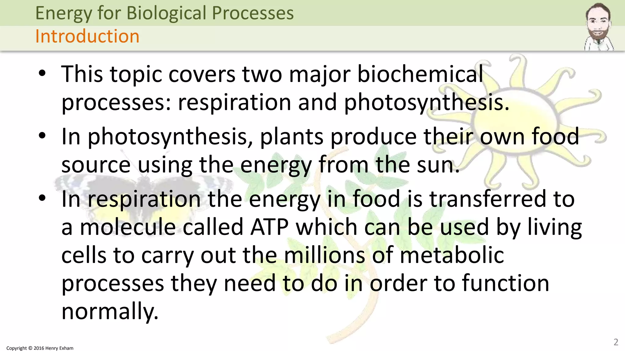 A Level Biology - Energy for Biological Processes | PPTX