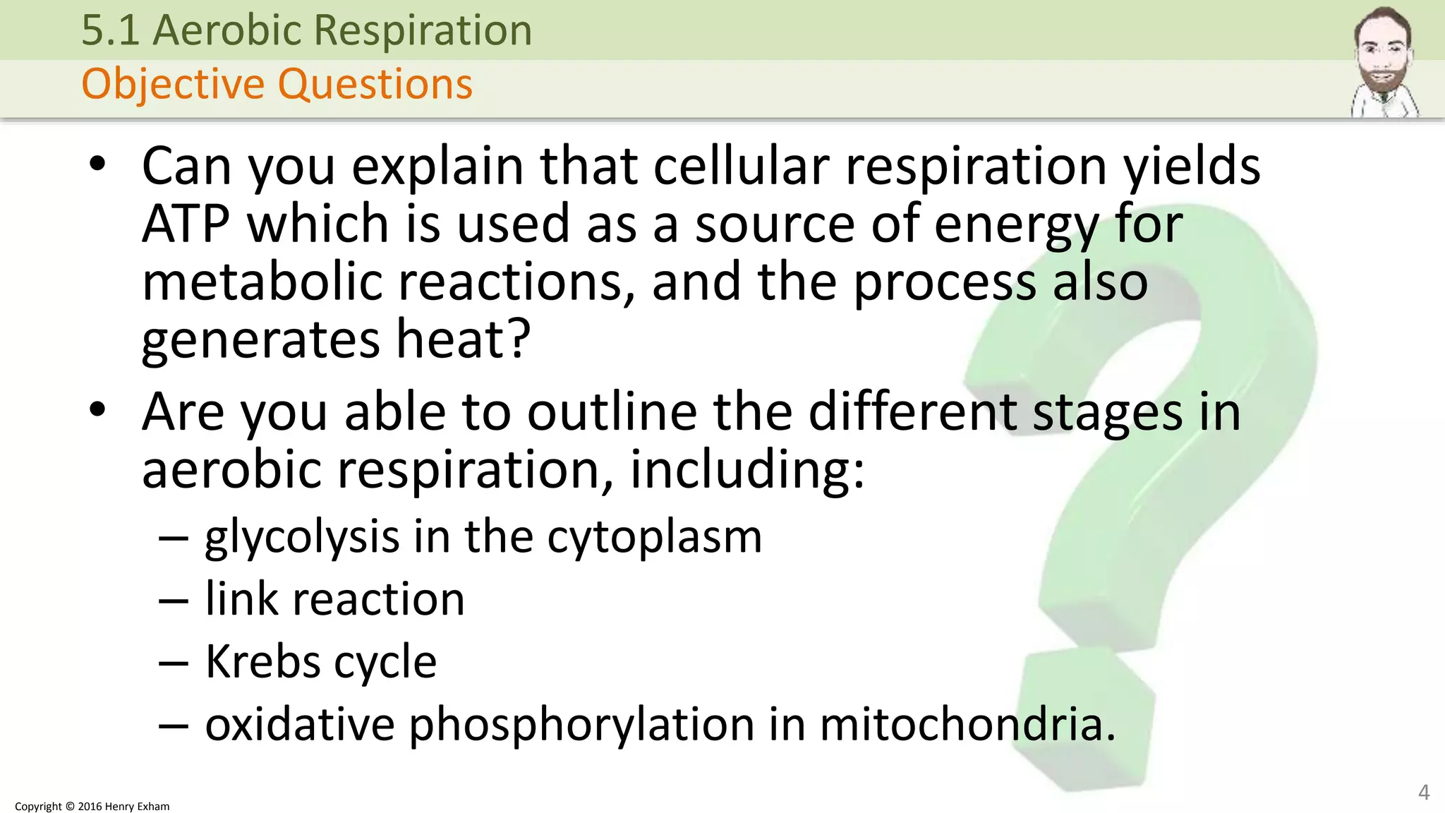 A Level Biology - Energy for Biological Processes | PPTX