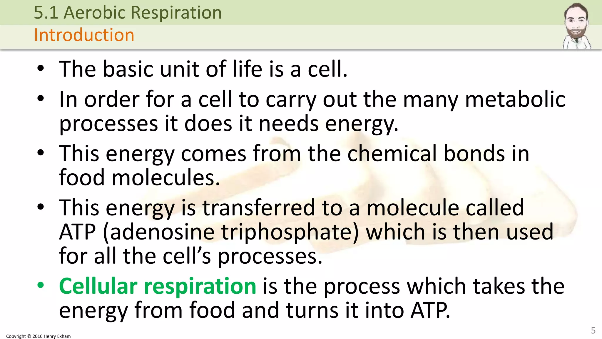 A Level Biology - Energy for Biological Processes | PPTX