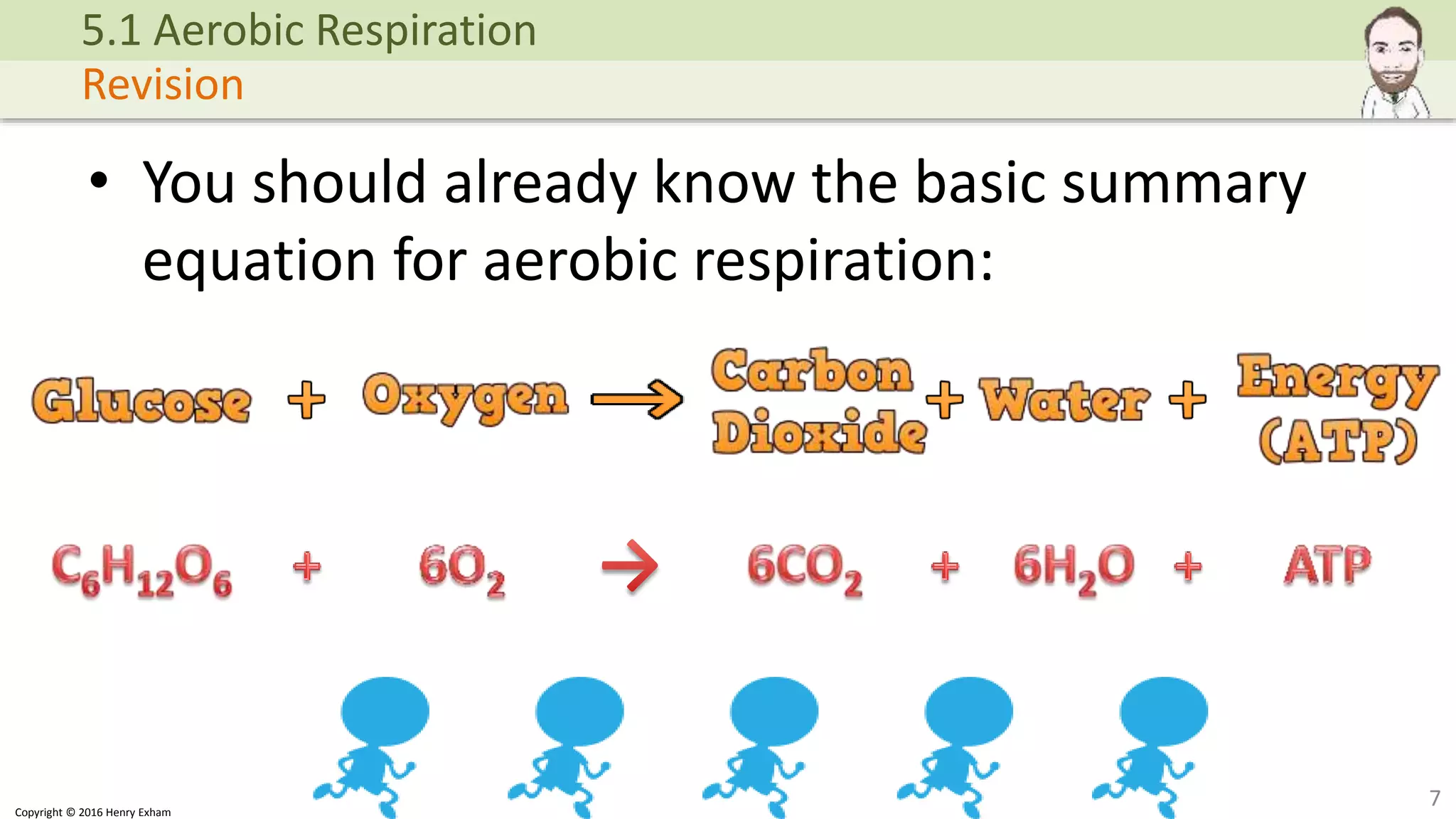 A Level Biology - Energy for Biological Processes | PPTX