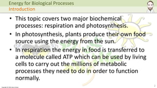 A Level Biology - Energy for Biological Processes | PPTX