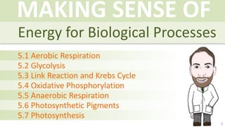 A Level Biology - Energy for Biological Processes | PPTX