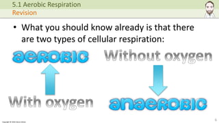 A Level Biology - Energy for Biological Processes | PPTX