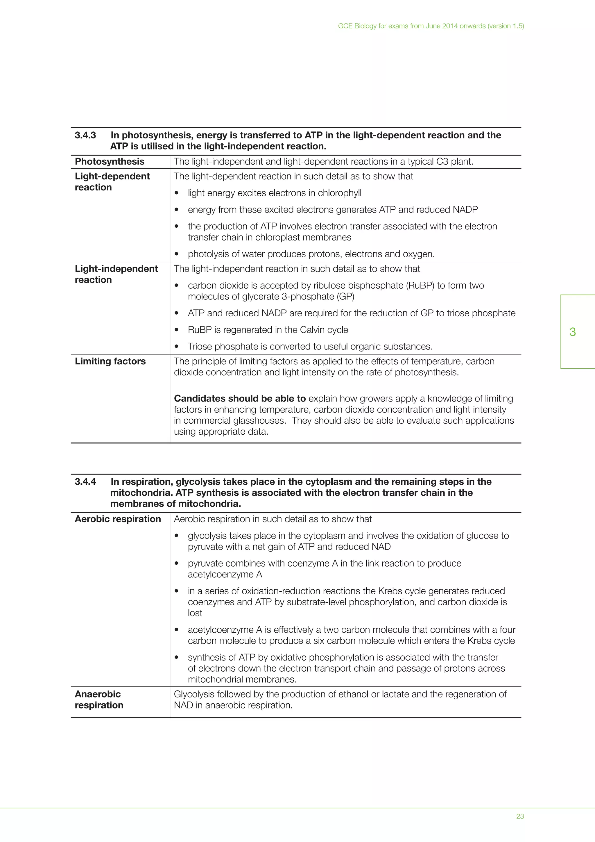 A level biology specification | PDF