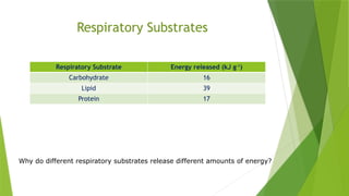 Energy and Respiration PPT of Cambridge A | PPTX