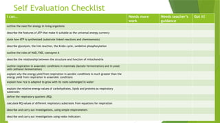 Energy and Respiration PPT of Cambridge A | PPTX