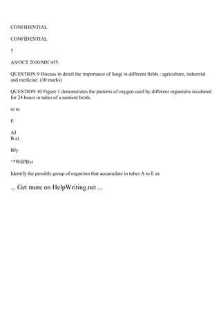 A Level French Essay Planning | PDF